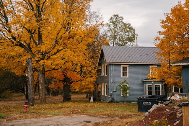 Deciduous Trees: The Best Leaf-Dropping Trees for Every Yard | Best ...