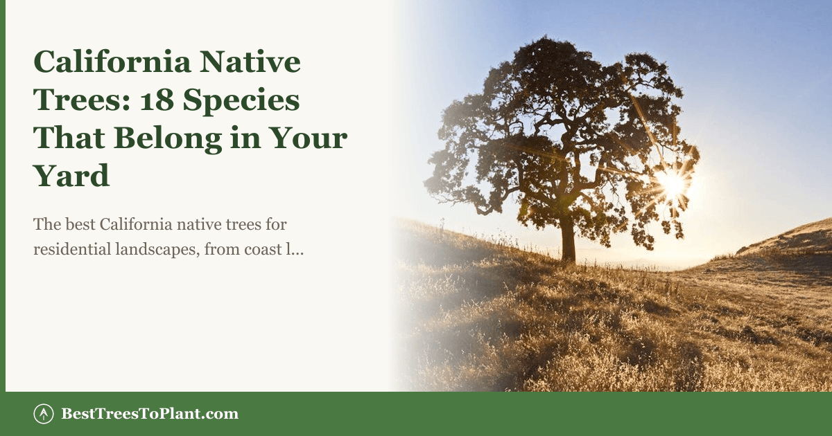 California Native Trees: 18 Species That Belong in Your Yard | Best ...