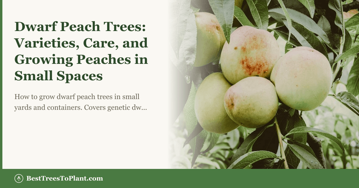 Dwarf Peach Trees: Varieties, Care, and Growing Peaches in Small Spaces ...