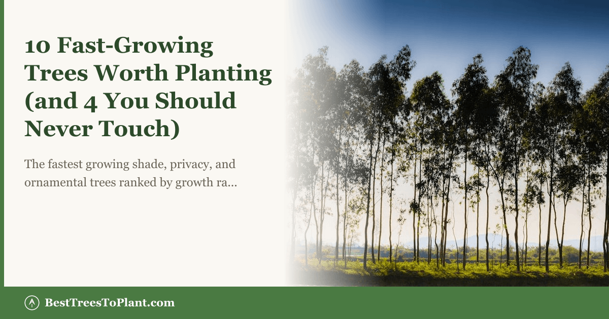 10 Fast-Growing Trees Worth Planting (and 4 You Should Never Touch ...