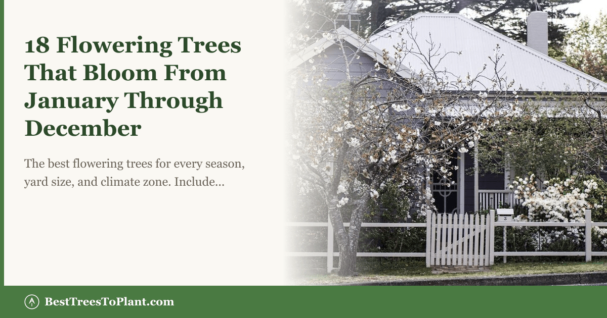 18 Flowering Trees That Bloom From January Through December | Best ...