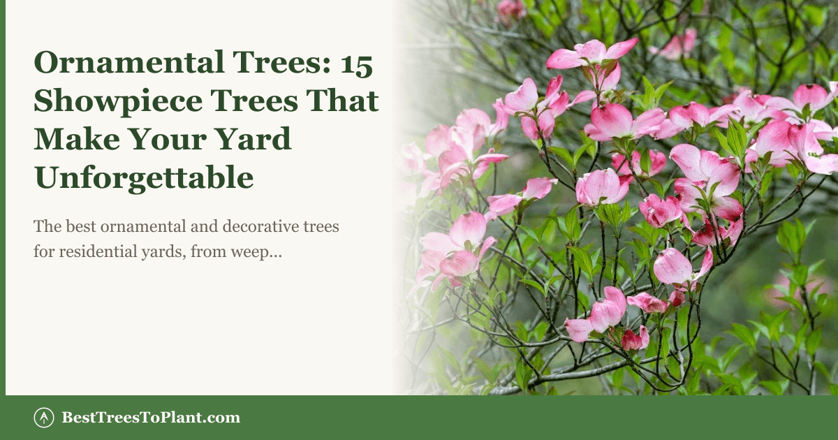 Ornamental Trees: 15 Showpiece Trees That Make Your Yard Unforgettable ...