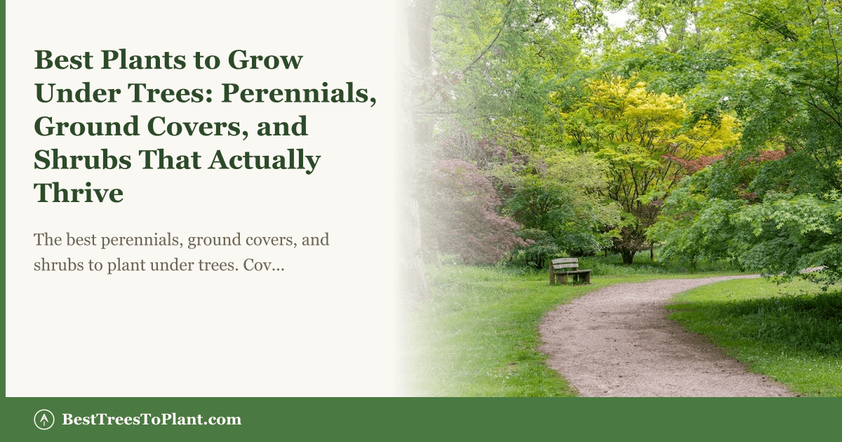 Best Plants to Grow Under Trees: Perennials, Ground Covers, and Shrubs That Actually Thrive ...