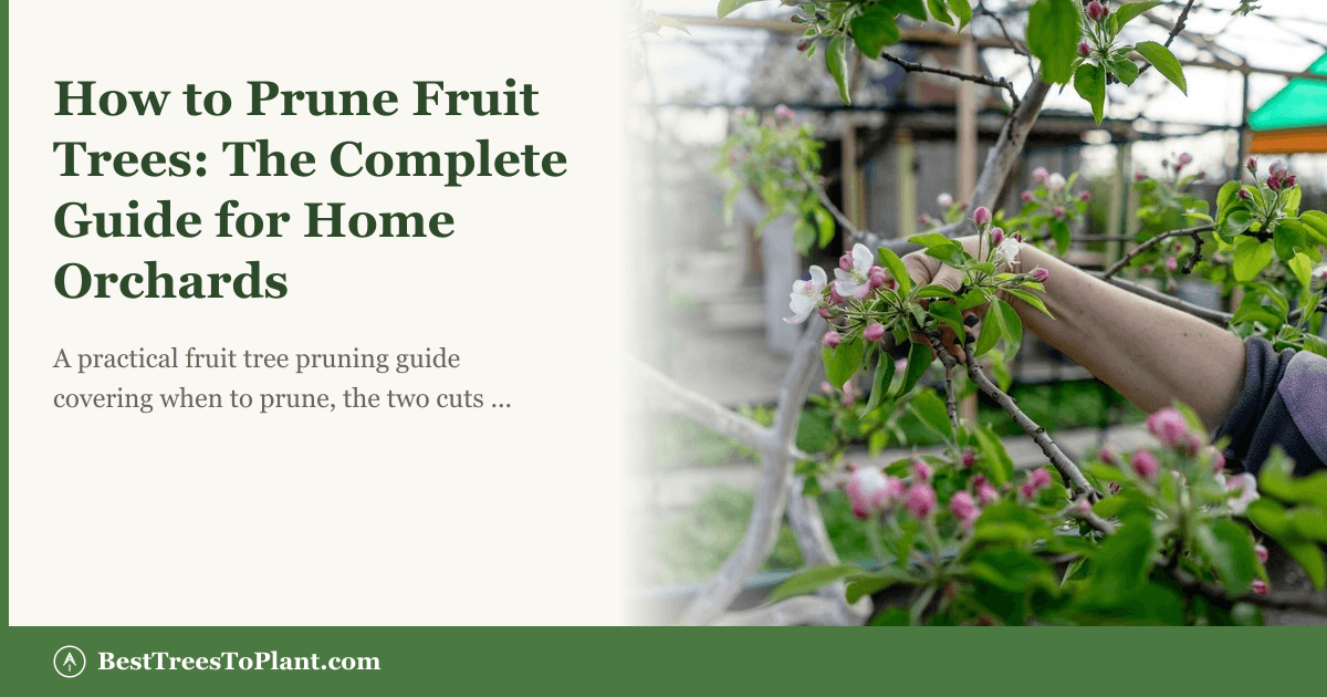 How to Prune Fruit Trees: The Complete Guide for Home Orchards | Best ...