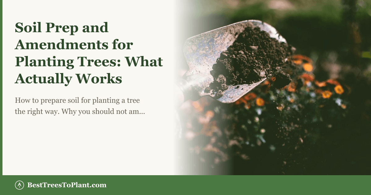 Soil Prep and Amendments for Planting Trees: What Actually Works | Best ...