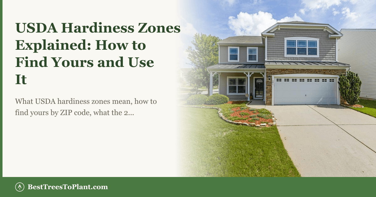 USDA Hardiness Zones Explained: How to Find Yours and Use It | Best ...